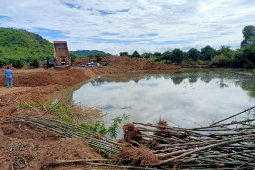 The stakes are high - Mighty Earth